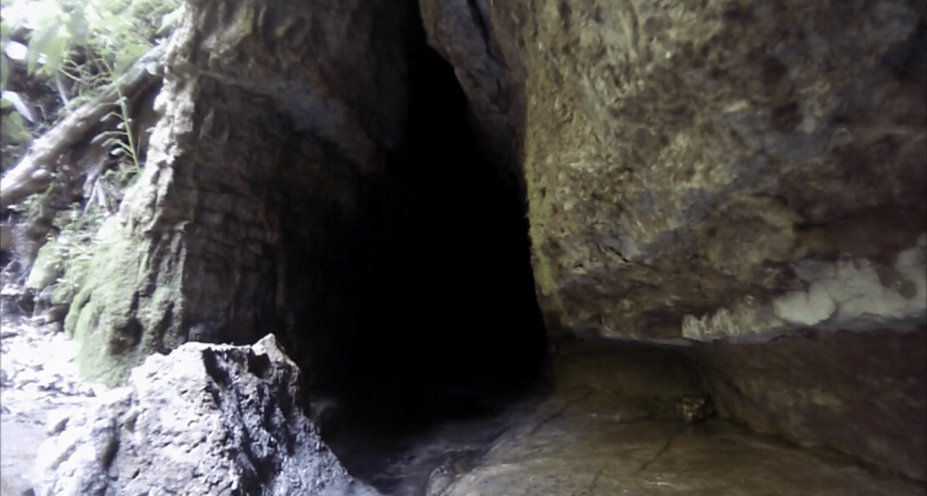 cave - Austin MonitorAustin Monitor