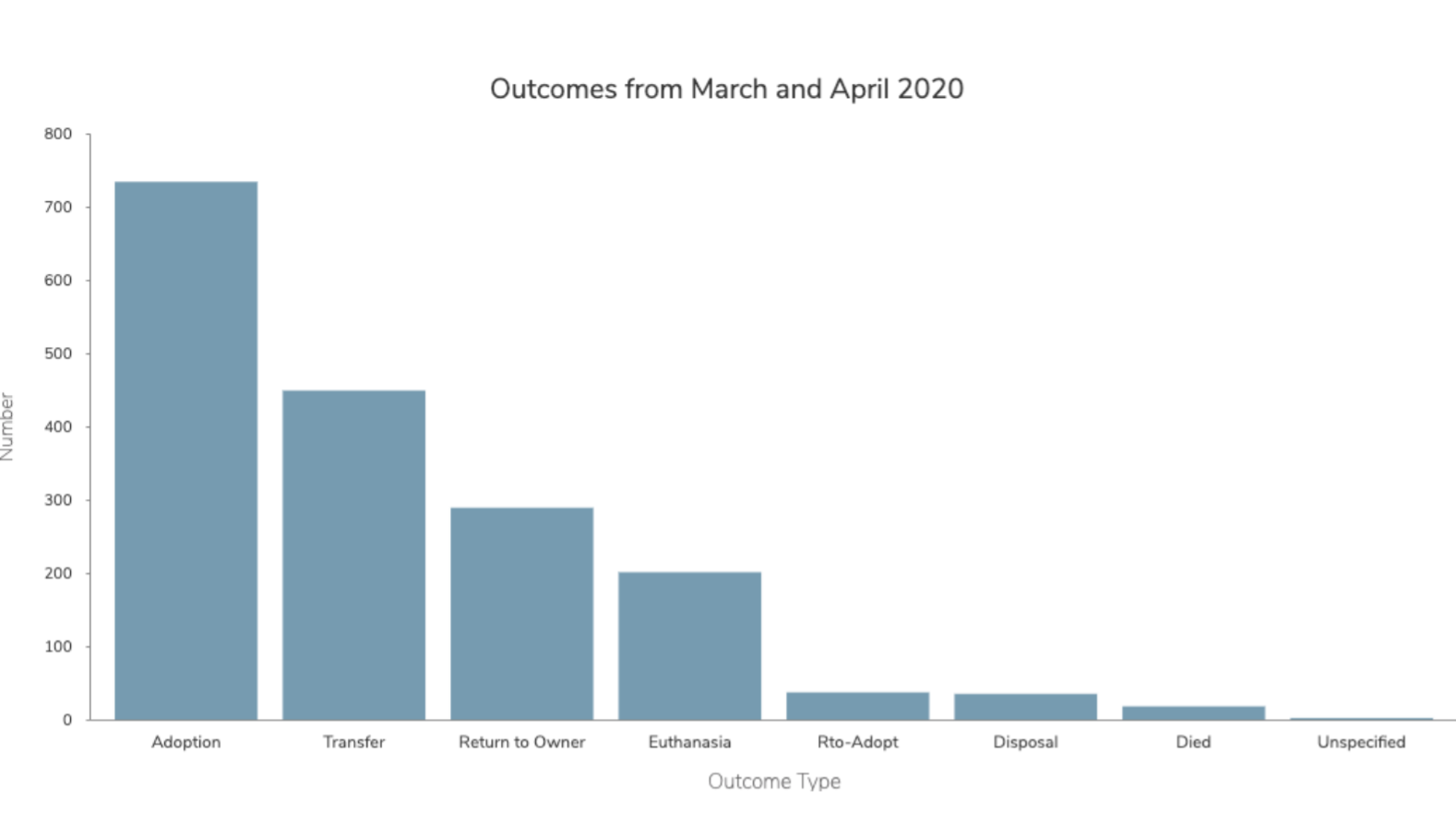 Austin Animal Center reopens on-site adoptions - Austin MonitorAustin ...