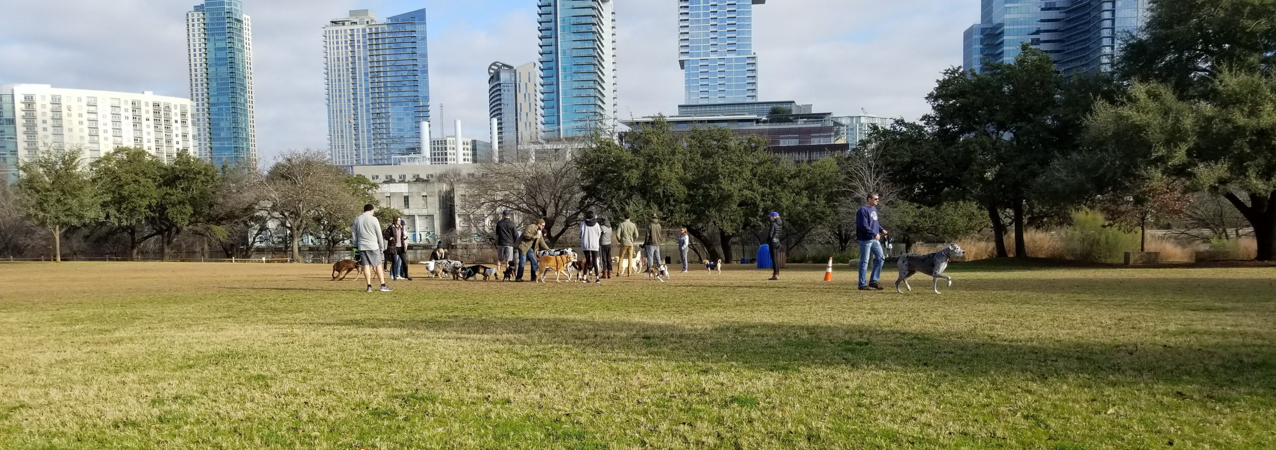 46404121214_705135b20a_4k - Austin MonitorAustin Monitor